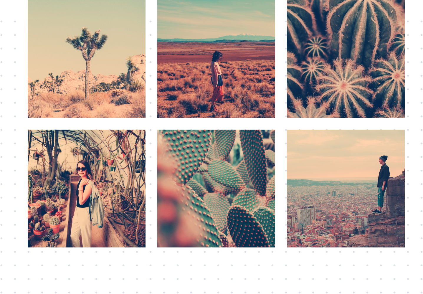 Batch Photo Editor: BeFunky - Edit Multiple Images Simultaneously