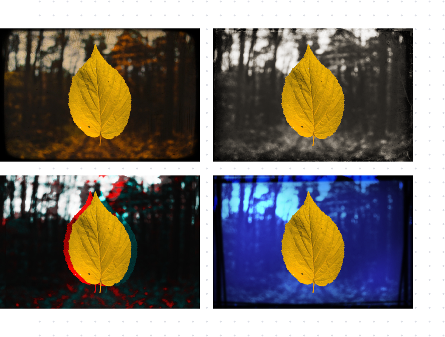 Background Remover | Remove Image Backgrounds with BeFunky