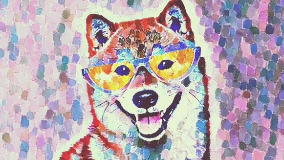 Photo Editor | BeFunky: Free Online Photo Editing and Collage Maker