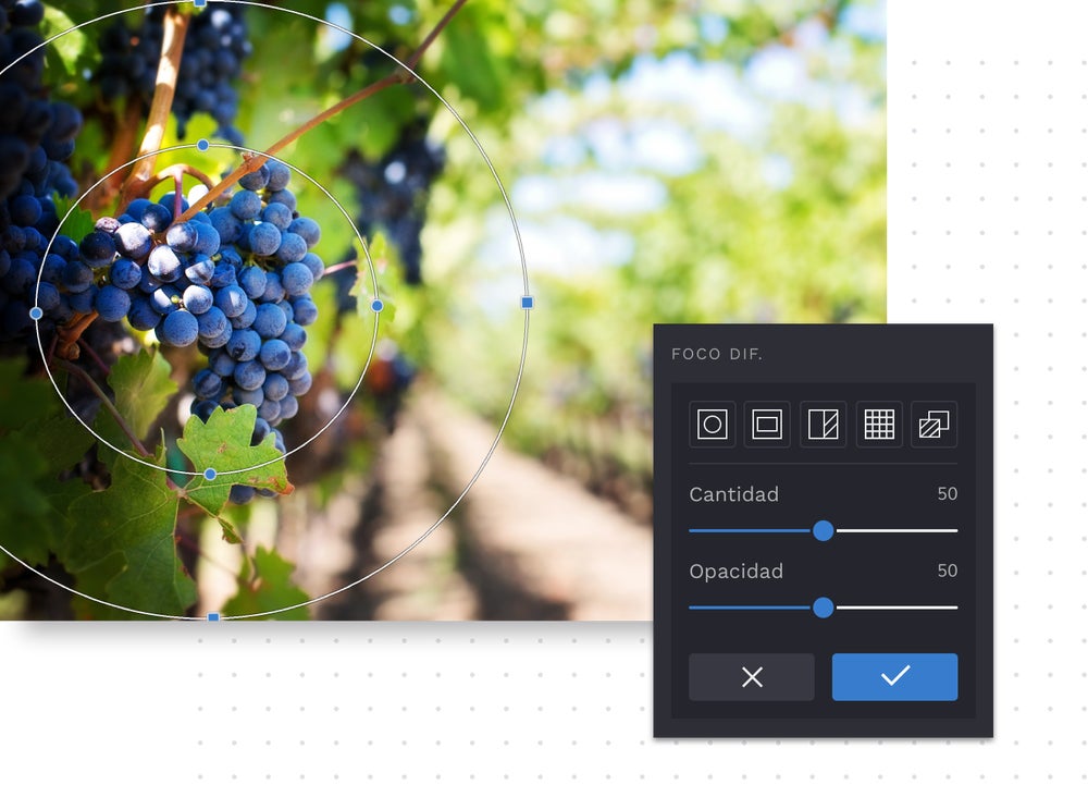 Difuminar Fotos | BeFunky: Edición y Diseñador Fotográfica en Línea