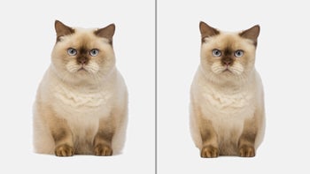 Pricing | BeFunky Plus: Premium Photo Editing & Graphic Design