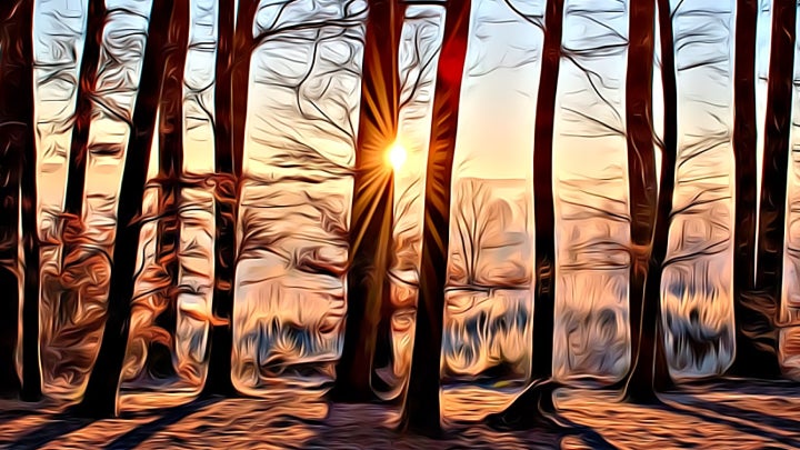 Photo to Painting - Instantly Turn Your Photo Into a Painting