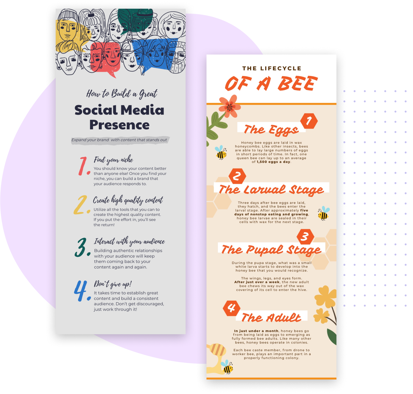 Infographic Maker For Kids