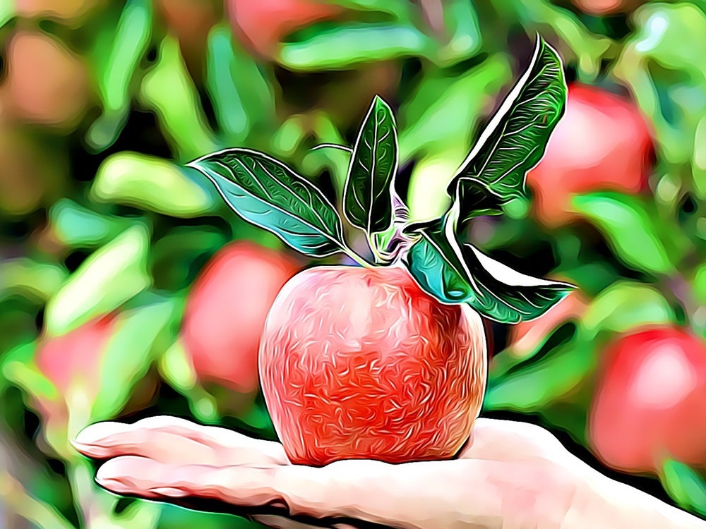 Photo To Cartoon | Cartoon Yourself With BeFunky