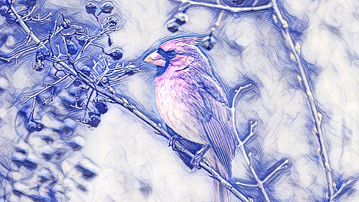 Simple Arts Drawing Painting