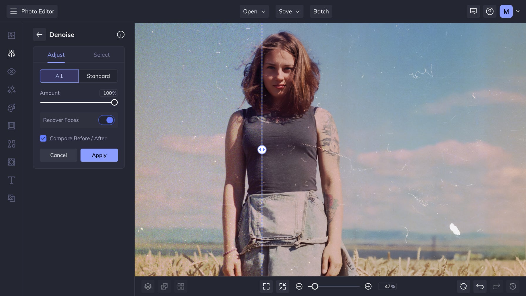 Denoise AI - BeFunky: Remove Noise From Photos in One Click