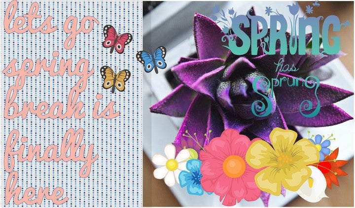 spring break is here 3-10-... by savannahtoland | BeFunky Photo Editor