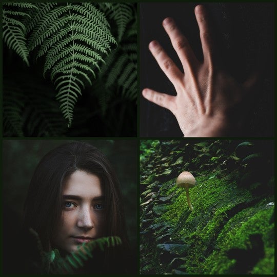 forest gender by LaDomna | BeFunky Photo Editor