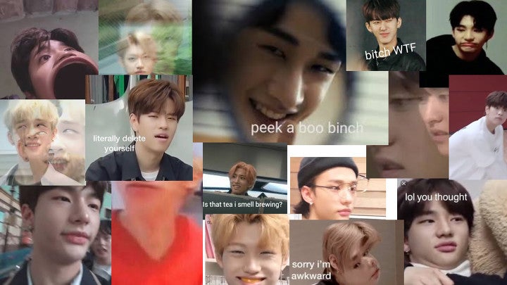 UPDATE! Some random Stray... by nayaslay2309 | BeFunky Photo Editor