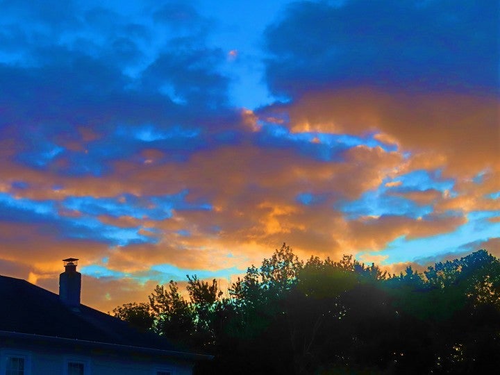 COLORS OF THE WIND... by michael.yagoda | BeFunky Photo Editor