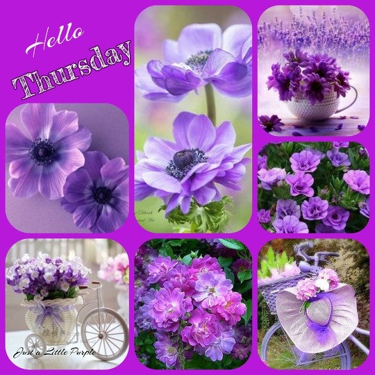 Thursday by Jenfonternel | BeFunky Photo Editor