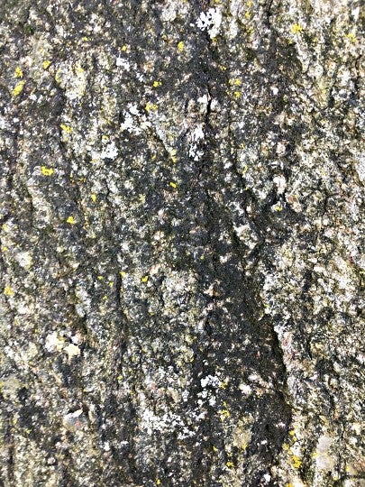 Physical Texture by theschmitzmeister | BeFunky Photo Editor