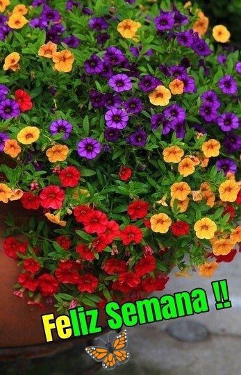 F by mariaelenacastagnetto | BeFunky Photo Editor