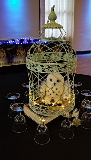 Hedwig Centerpiece by Tracey Shafer | BeFunky Photo Editor