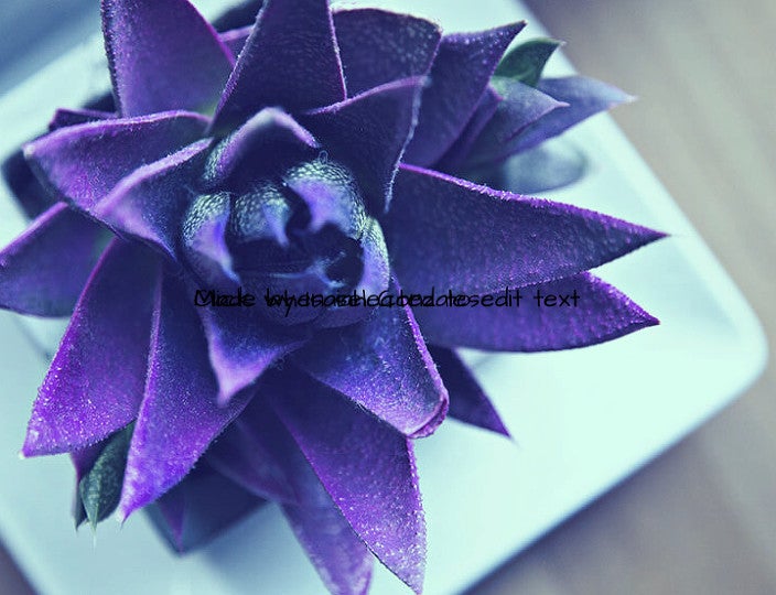 love what you create by 27egonzales | BeFunky Photo Editor