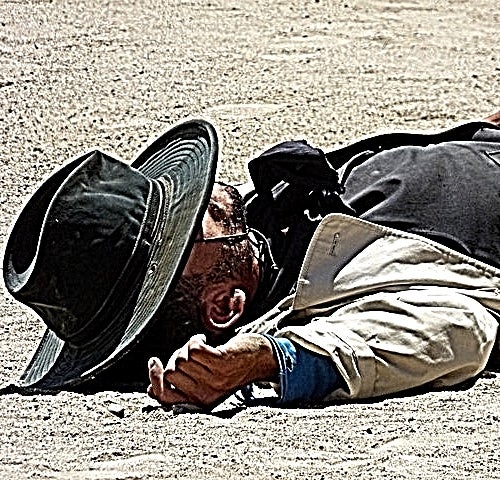 losing dogs by canine | BeFunky Photo Editor