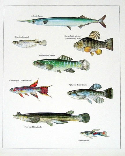 Photo by miller1sandi | BeFunky Photo Editor