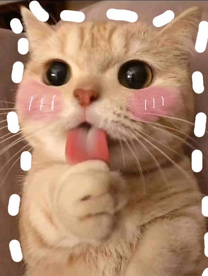 blushy cat edit by natalie.lashley | BeFunky Photo Editor