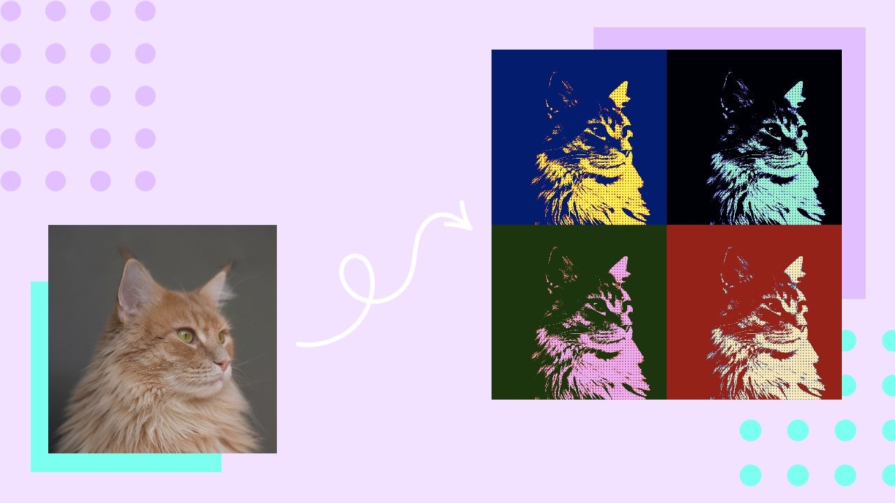 How to Add a Pop Art Filter to Your Photo | Learn BeFunky