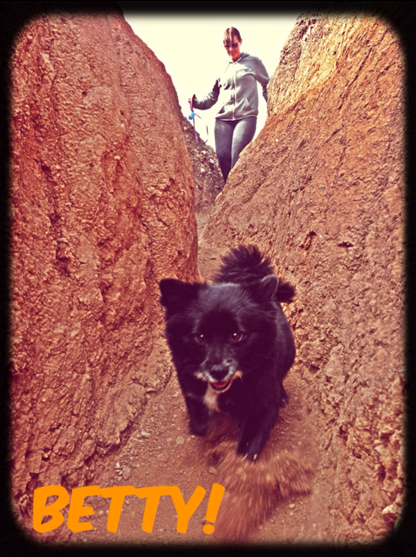 Our Newest Feature In The Mobile App: Text! | Learn BeFunky