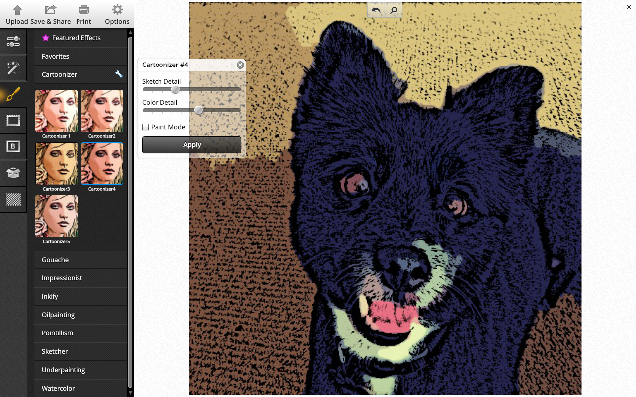 Intro To Our World Famous Cartoonizer | Learn BeFunky