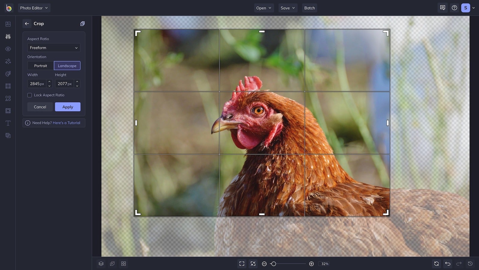 Cropping Photography Examples