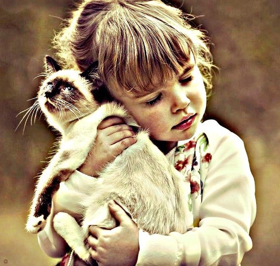 Photo Of The Day: Love Your Cat | Learn BeFunky