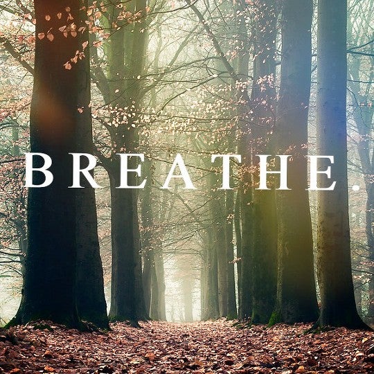 Photo Of The Day: Breathe Now | Learn BeFunky