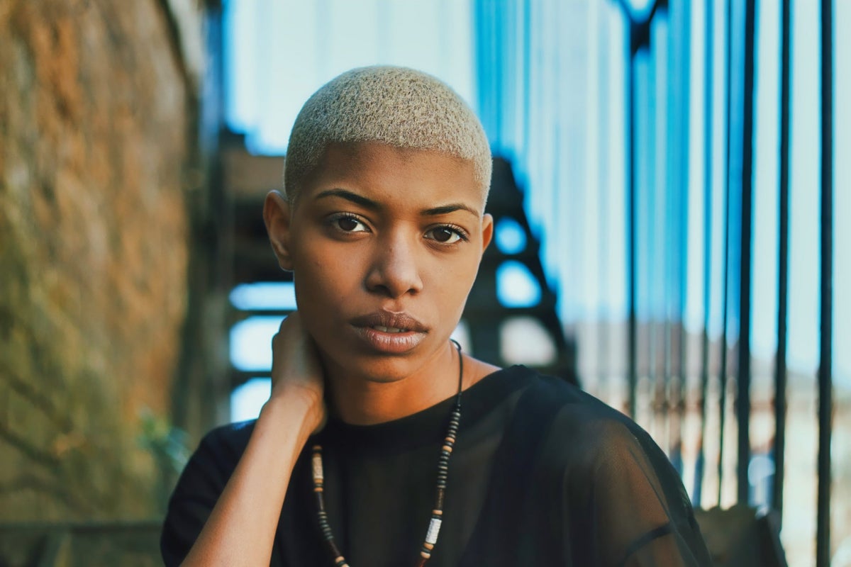 All About BeFunky Plus | Learn BeFunky