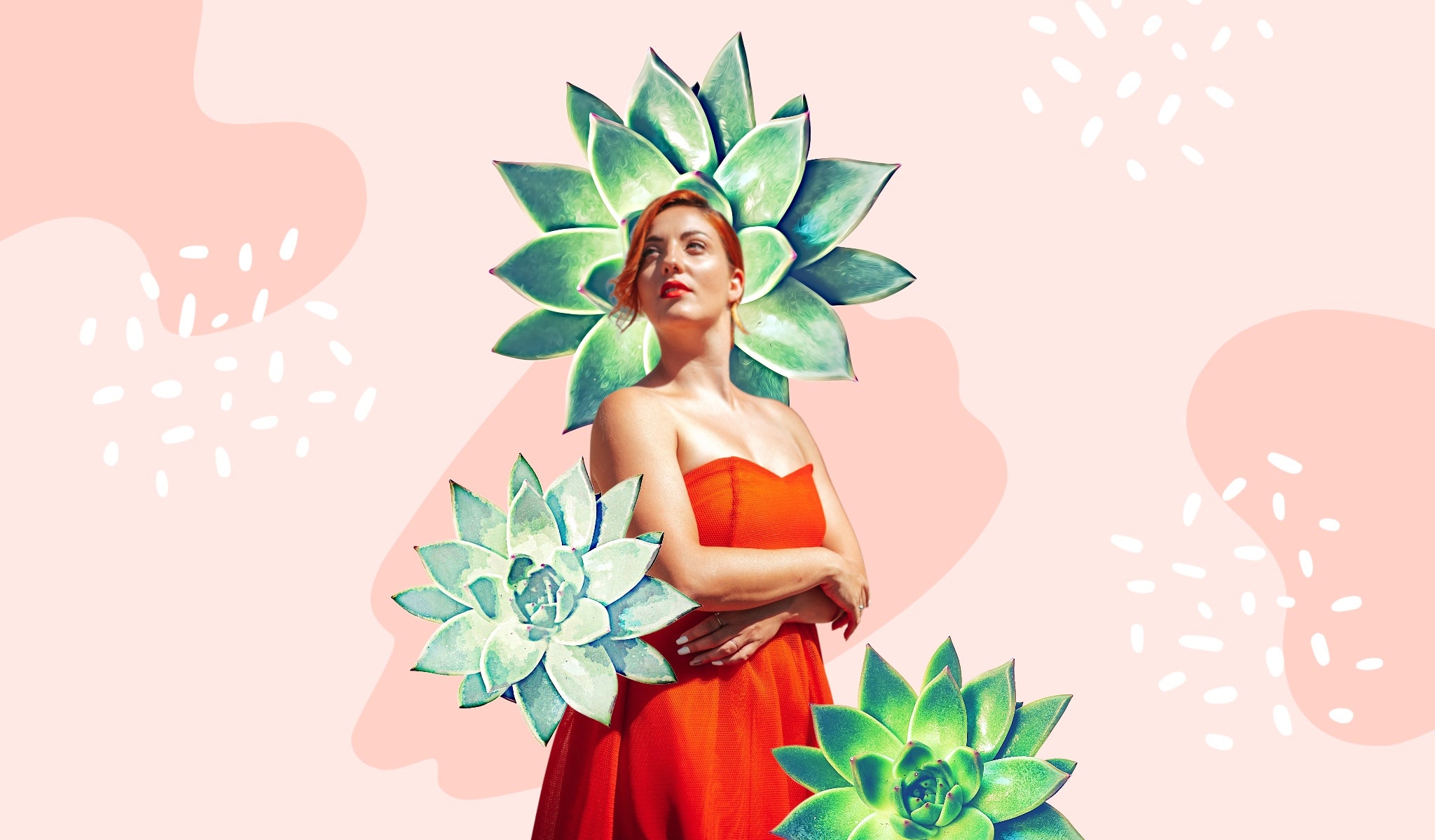 All About BeFunky Plus | Learn BeFunky