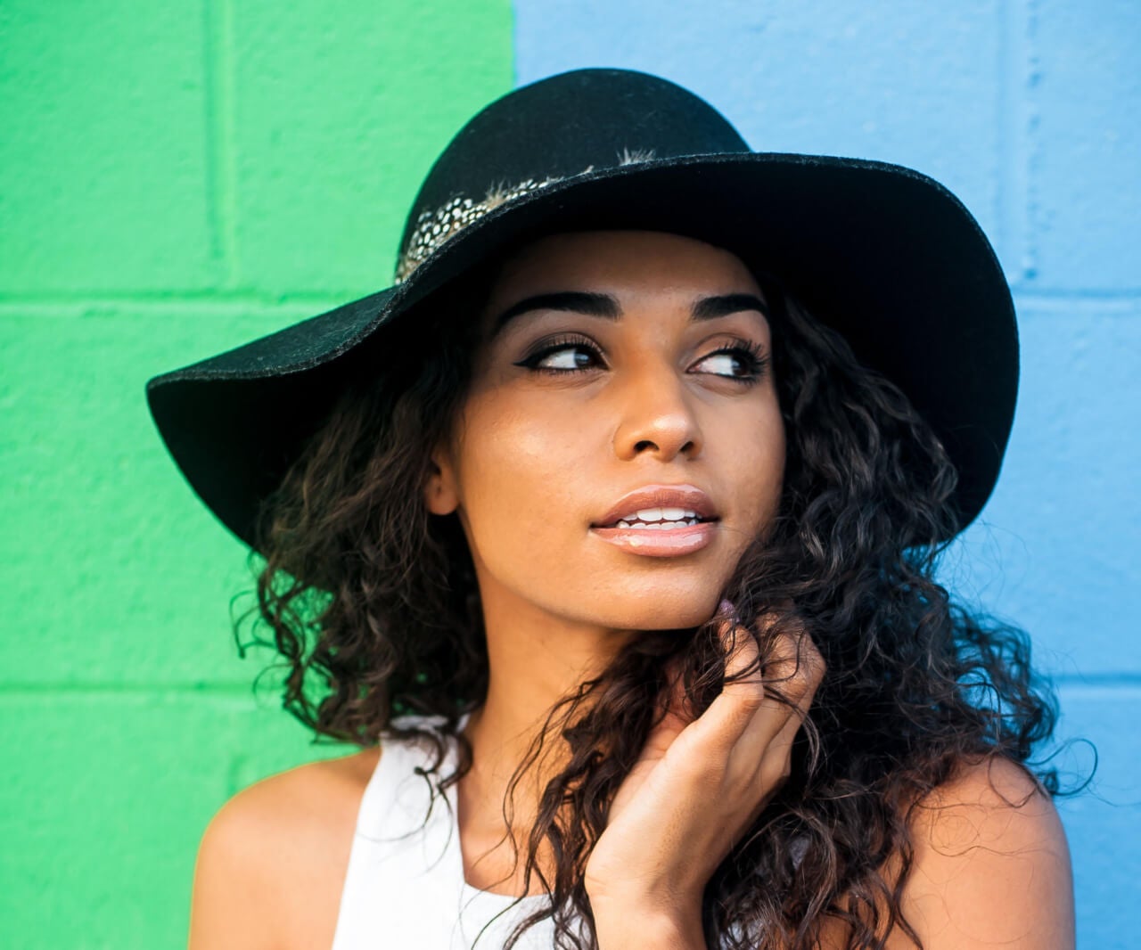 All About BeFunky Plus | Learn BeFunky