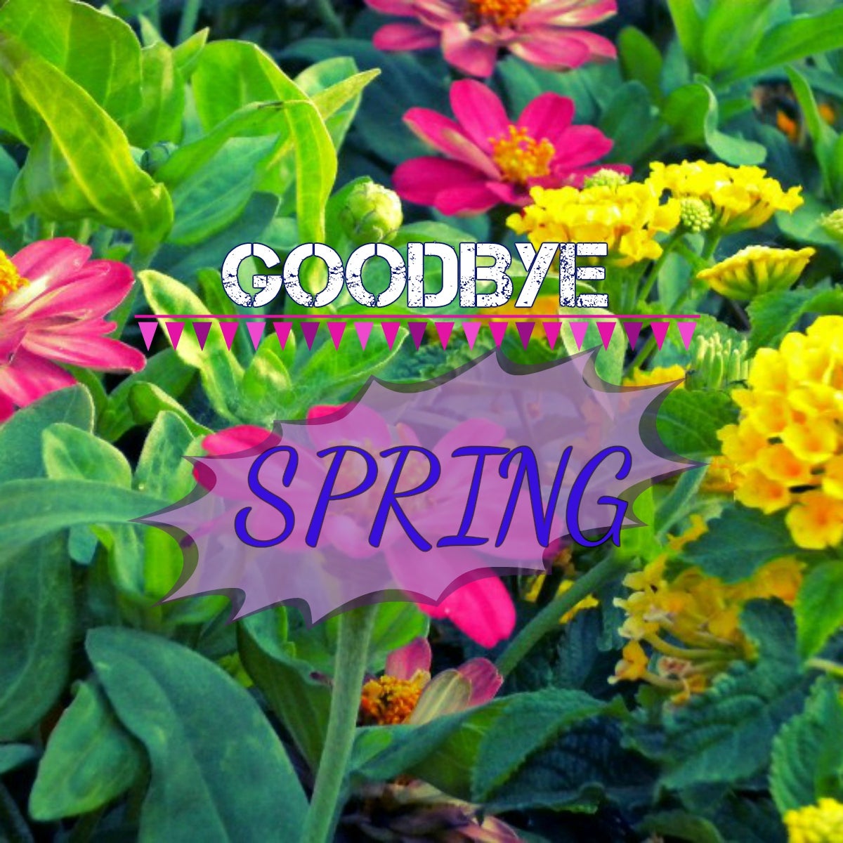 12 Spring Photos You Need To Capture NOW | Learn BeFunky