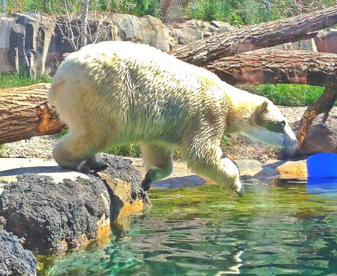 7 Summer Dates To Check Off Your Bucket List | Learn BeFunky