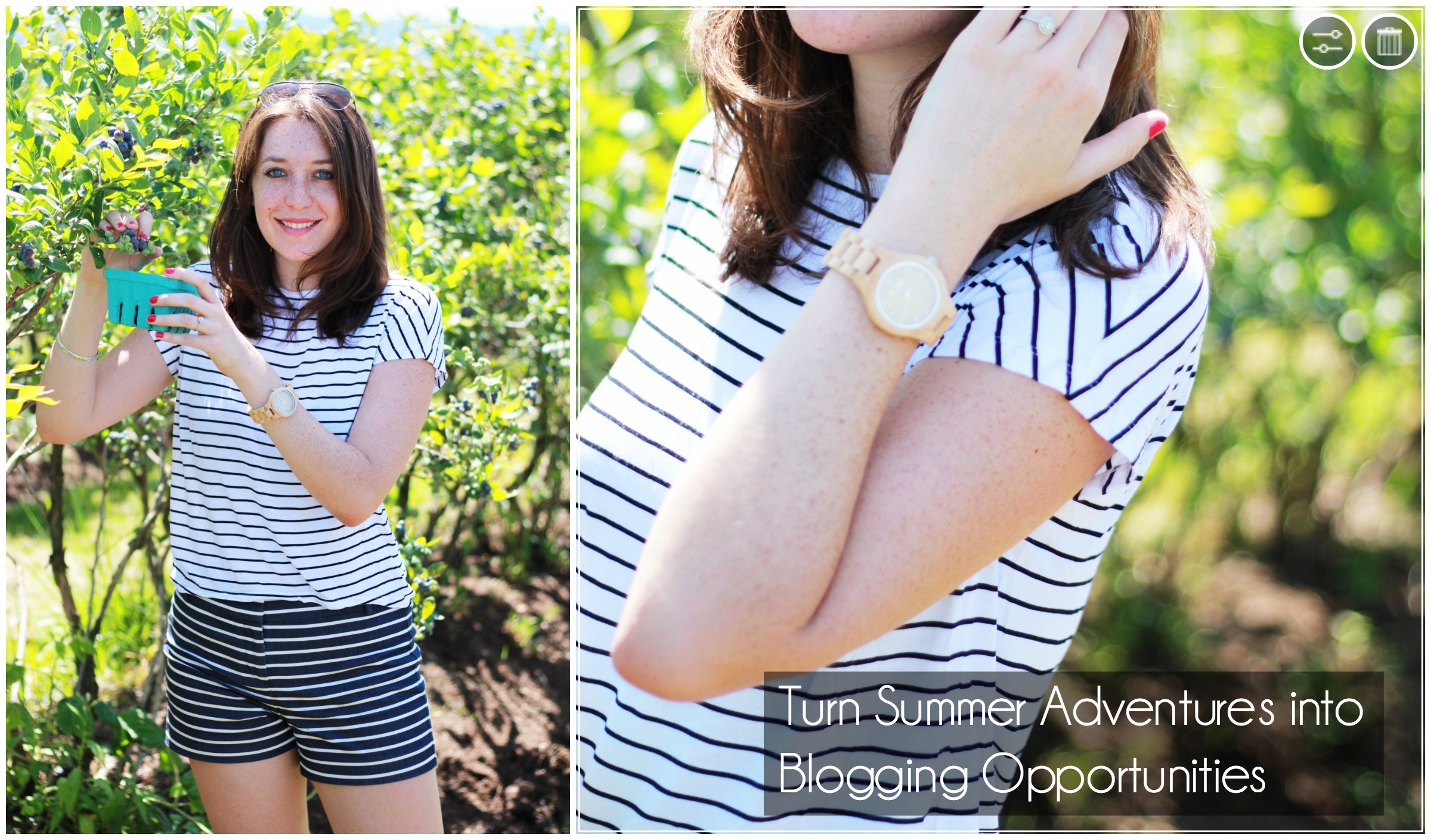 Latest Posts | Learn BeFunky