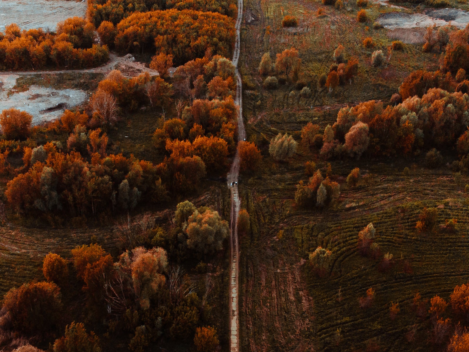 Top 5 Little-Known Fall Photography Tips | Learn BeFunky