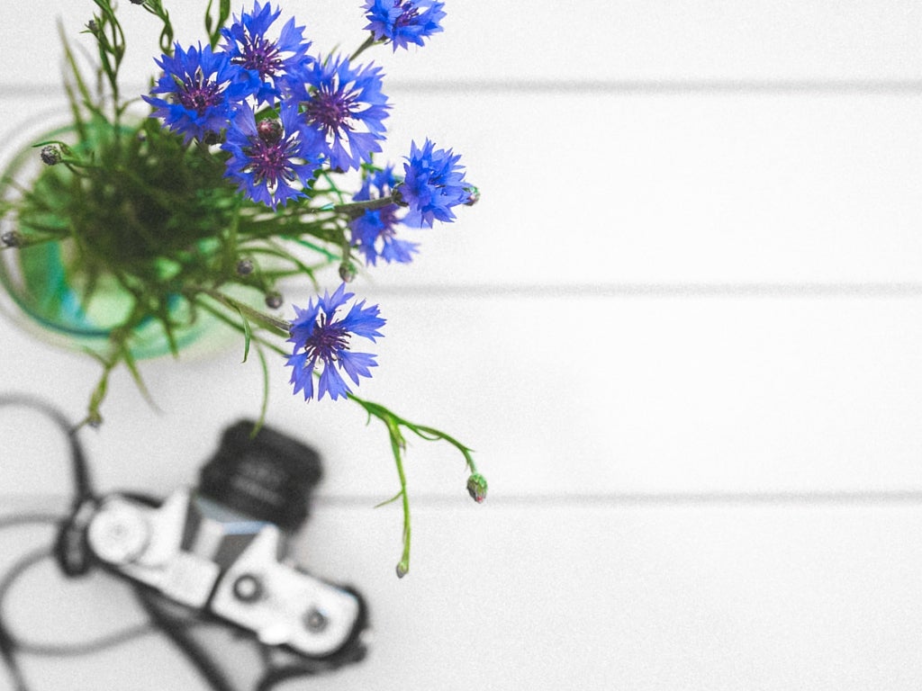 How To Create Light, Bright And Airy Images | Learn BeFunky