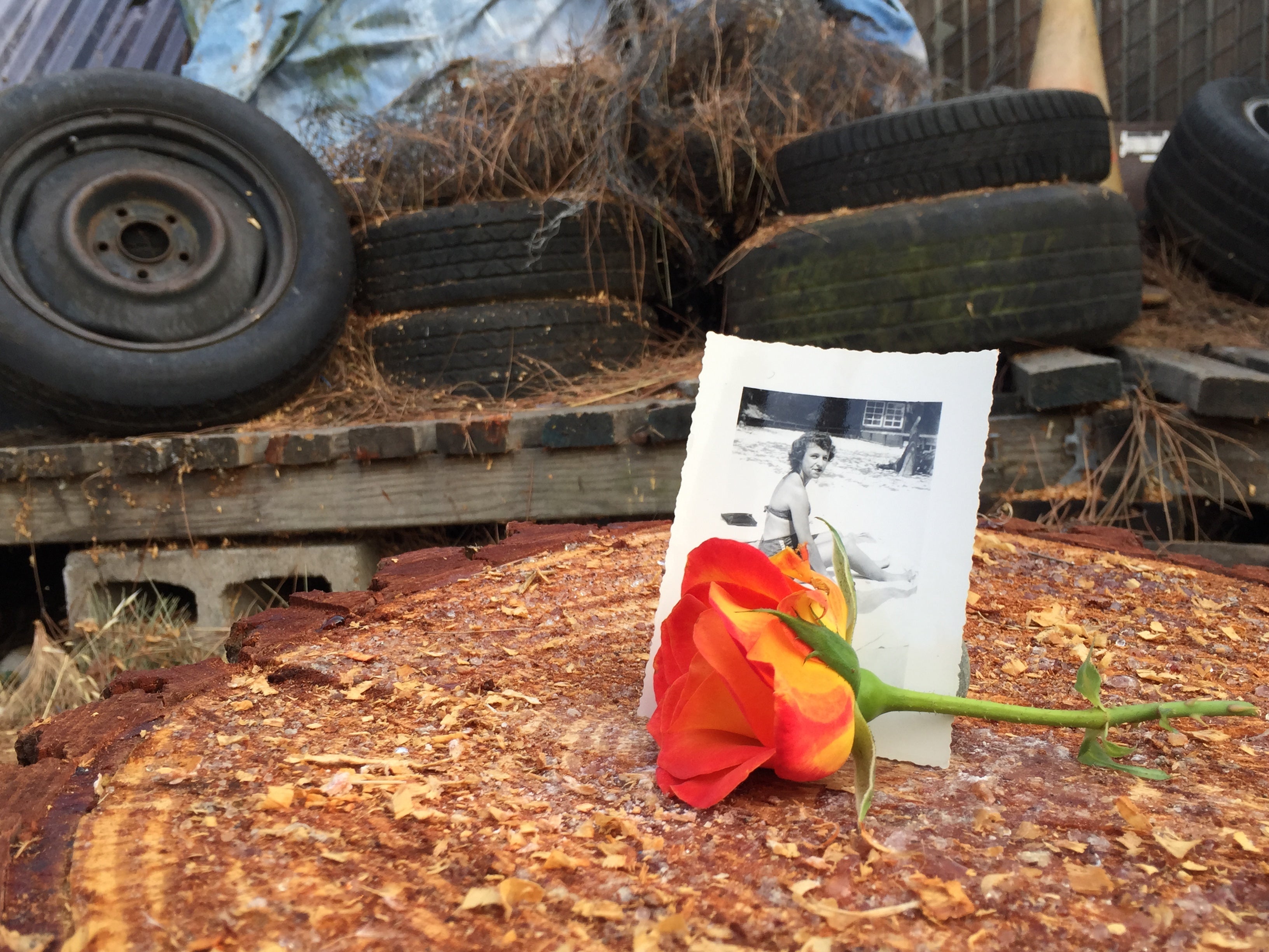 Found Object Art: Then And Now | Learn BeFunky