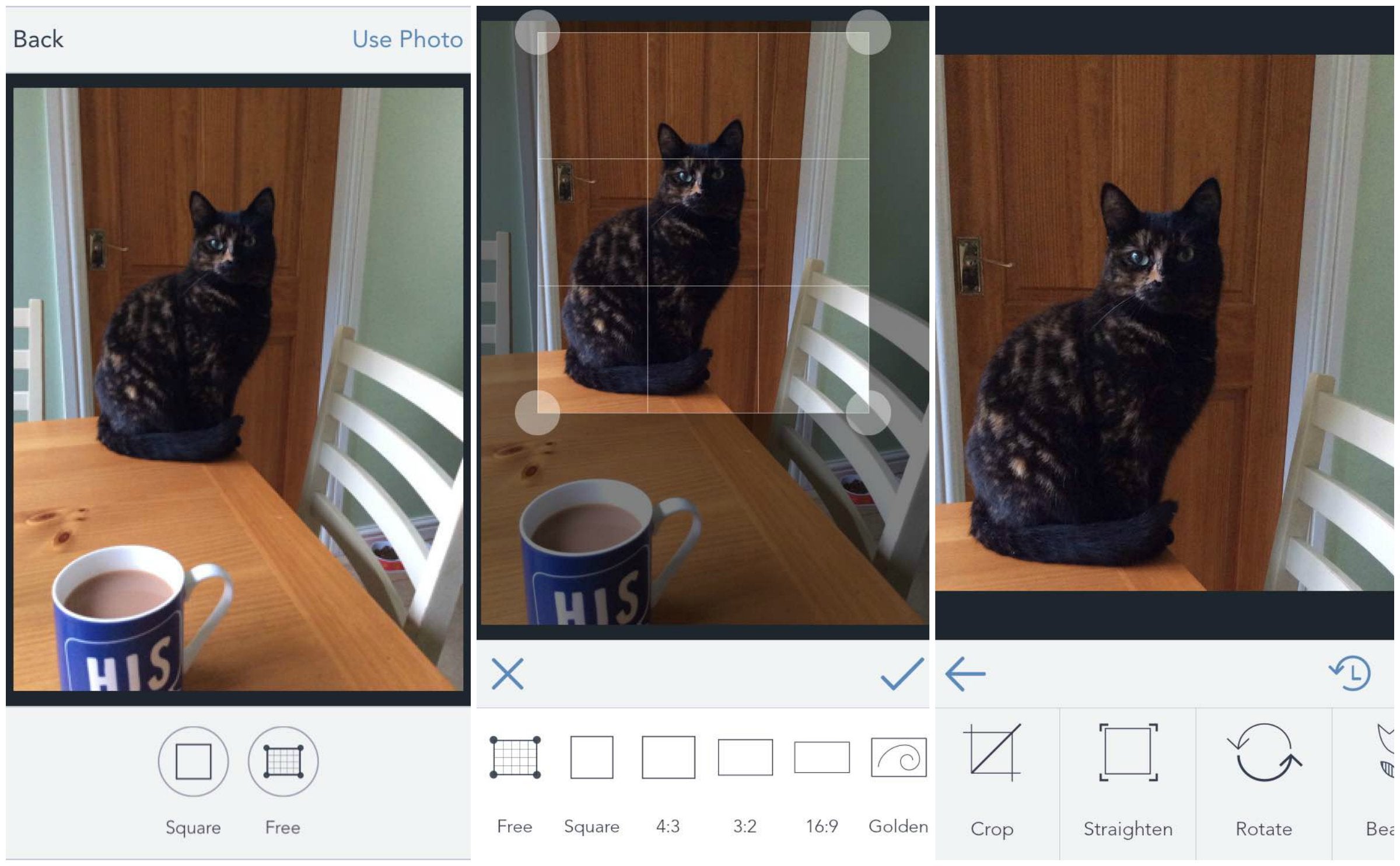 Simple Ways To Improve Your Images | Learn BeFunky