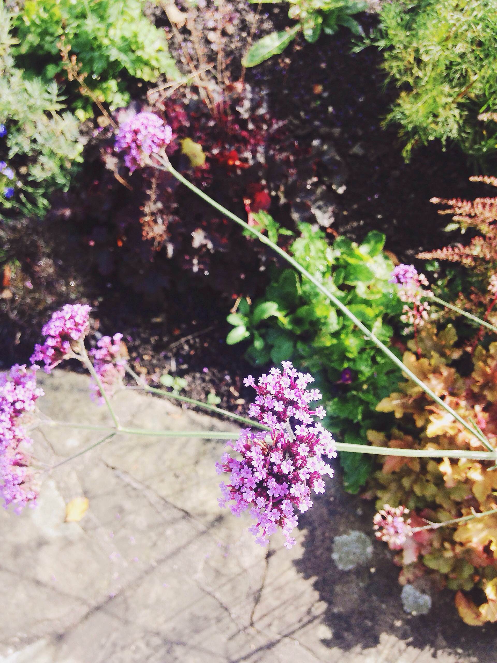 Simple Ways To Improve Your Images | Learn BeFunky