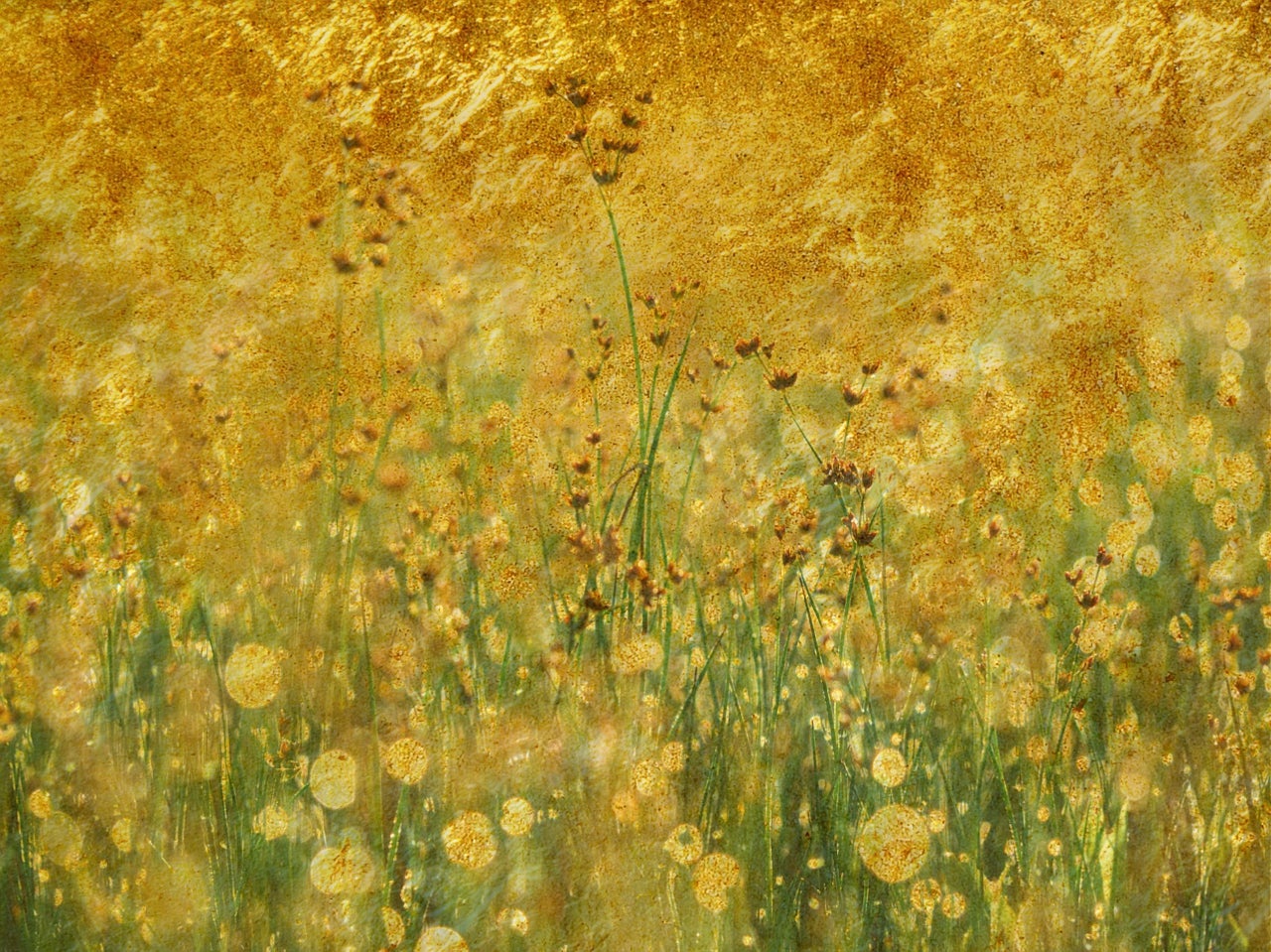 Getting Crafty: Logos, Watermarks With The Background & Layer Tools ...