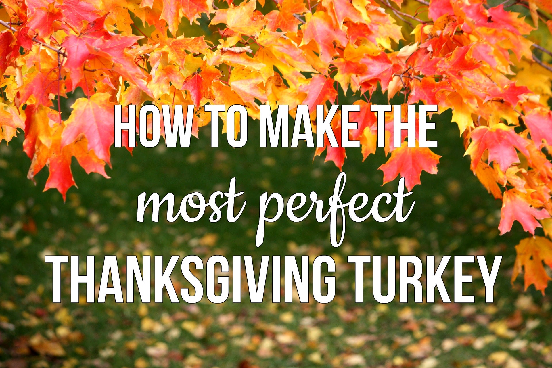 Tips For The Perfect Thanksgiving Day Turkey | Learn BeFunky
