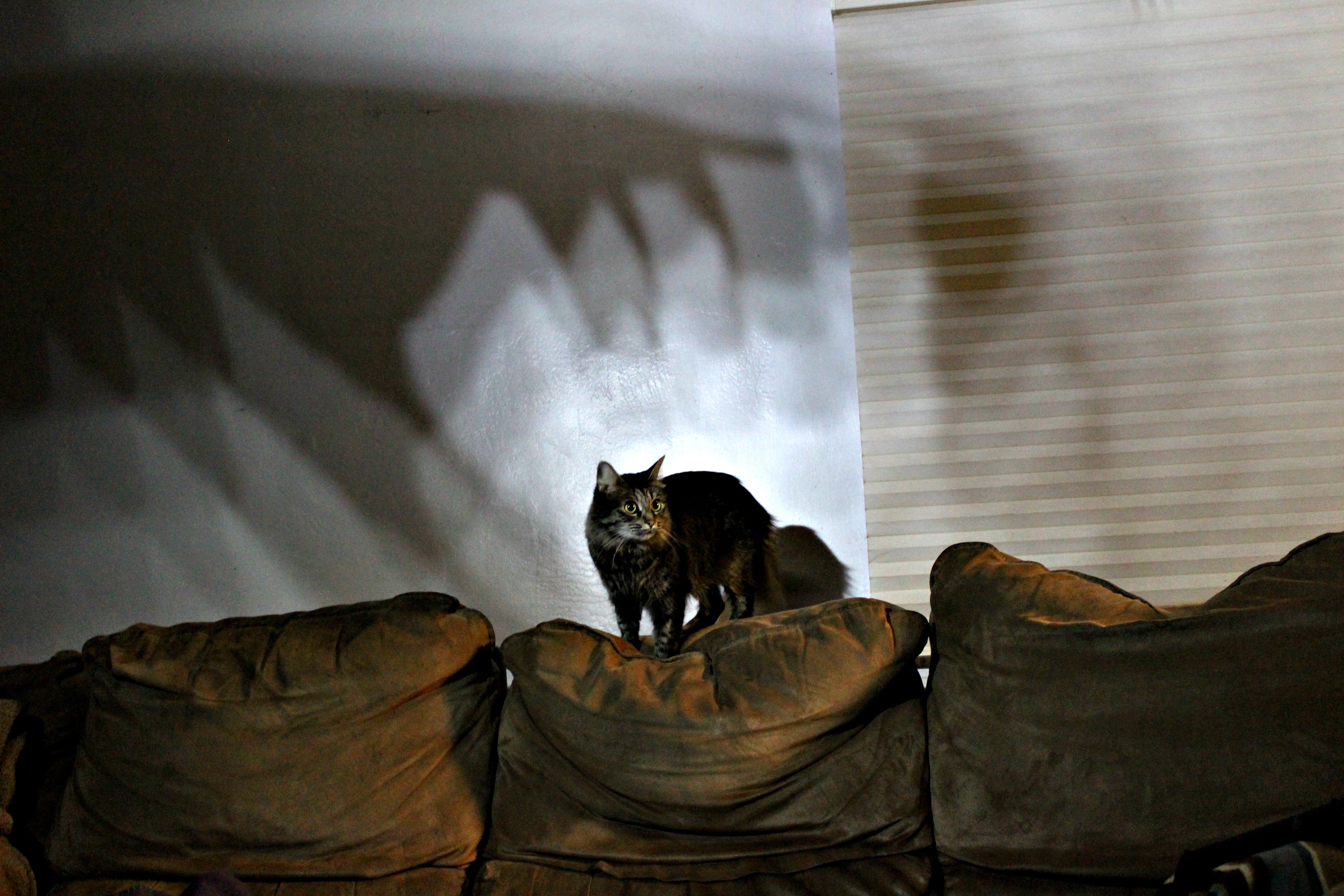 Perspective Composition For Amateur Photographers | Learn BeFunky