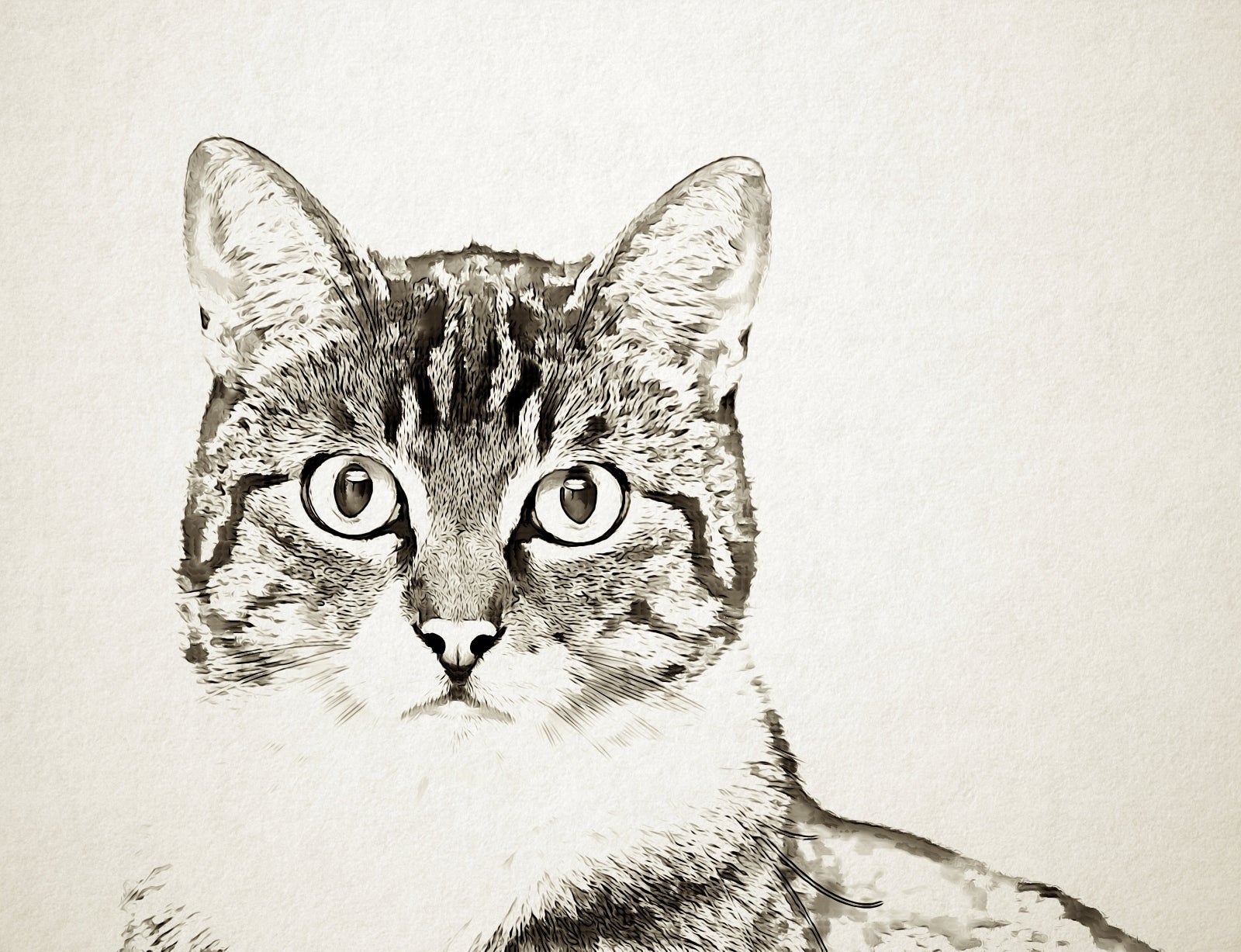 How to Go From Photo to Ink Wash | Learn BeFunky