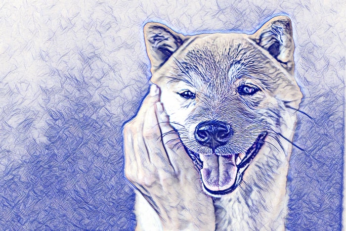 How To Turn Your Photo Into Pen Art | Learn BeFunky