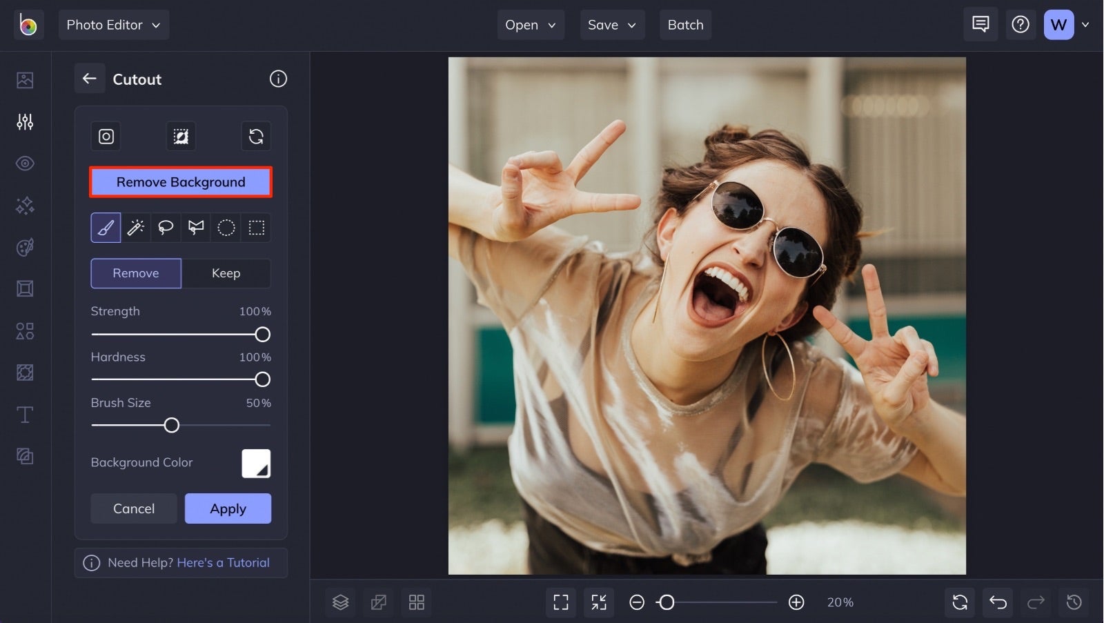 How to Add a Pop Art Filter to Your Photo | Learn BeFunky