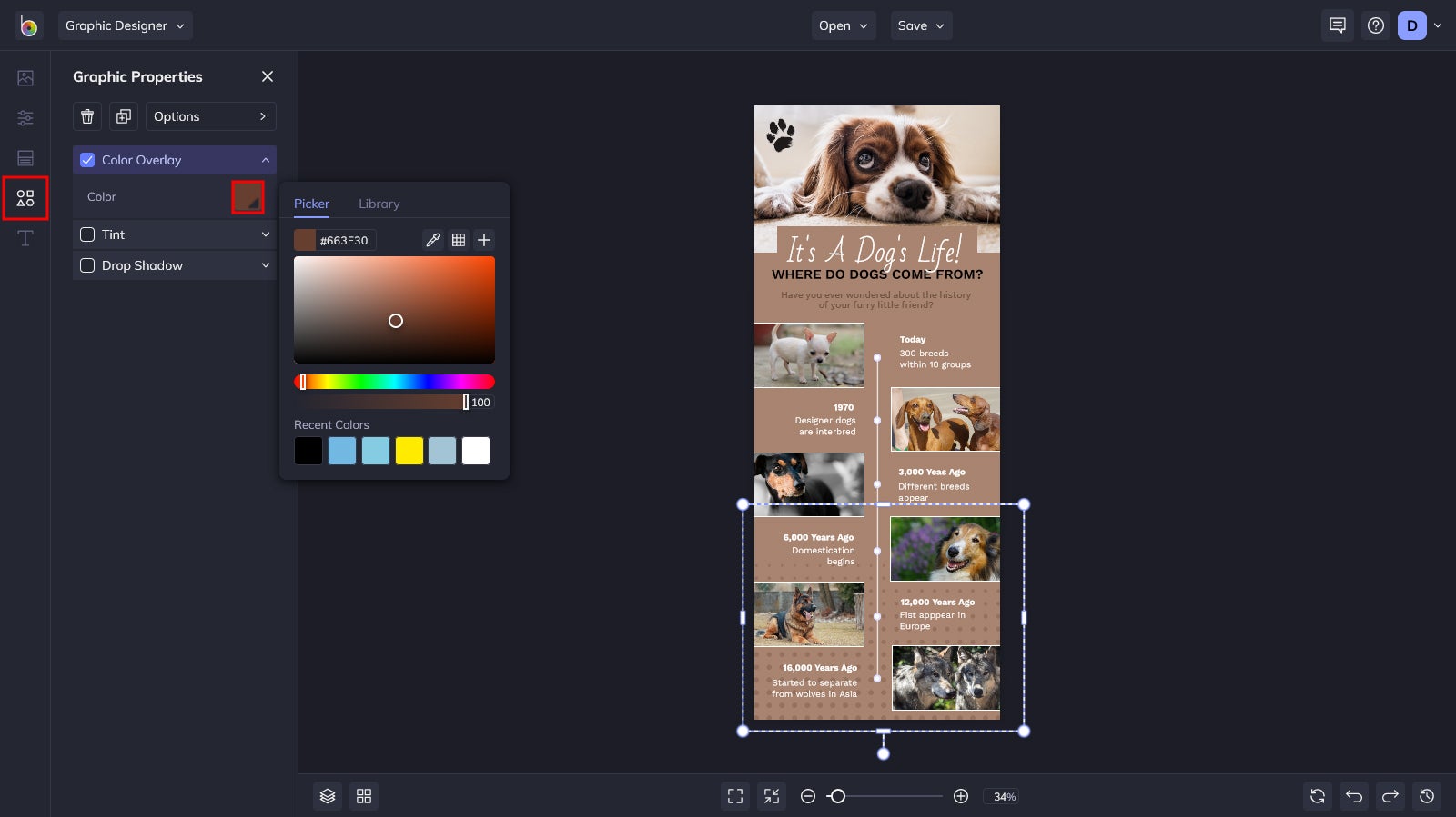 How to Design an Infographic | Learn BeFunky