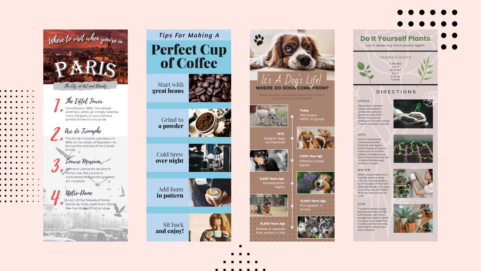How to Design an Infographic | Learn BeFunky