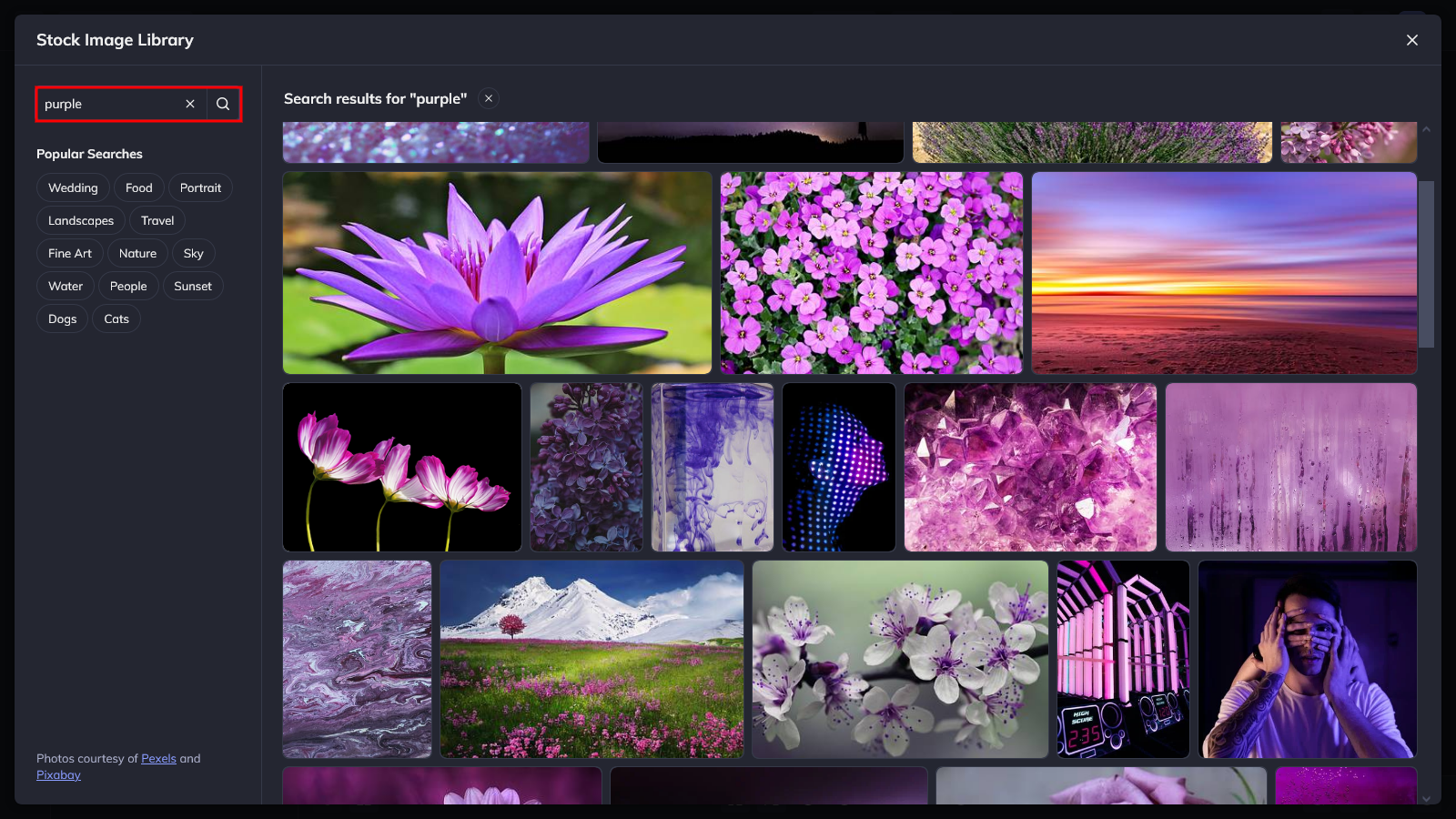 Access Over a Million Free Stock Images With BeFunky | Learn BeFunky