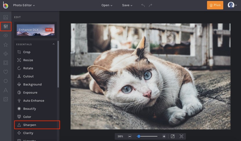 Bring Clarity To Your Photos With Sharpen | Learn BeFunky