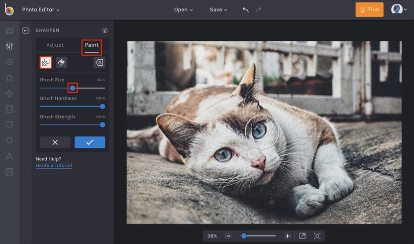Bring Clarity To Your Photos With Sharpen | Learn BeFunky